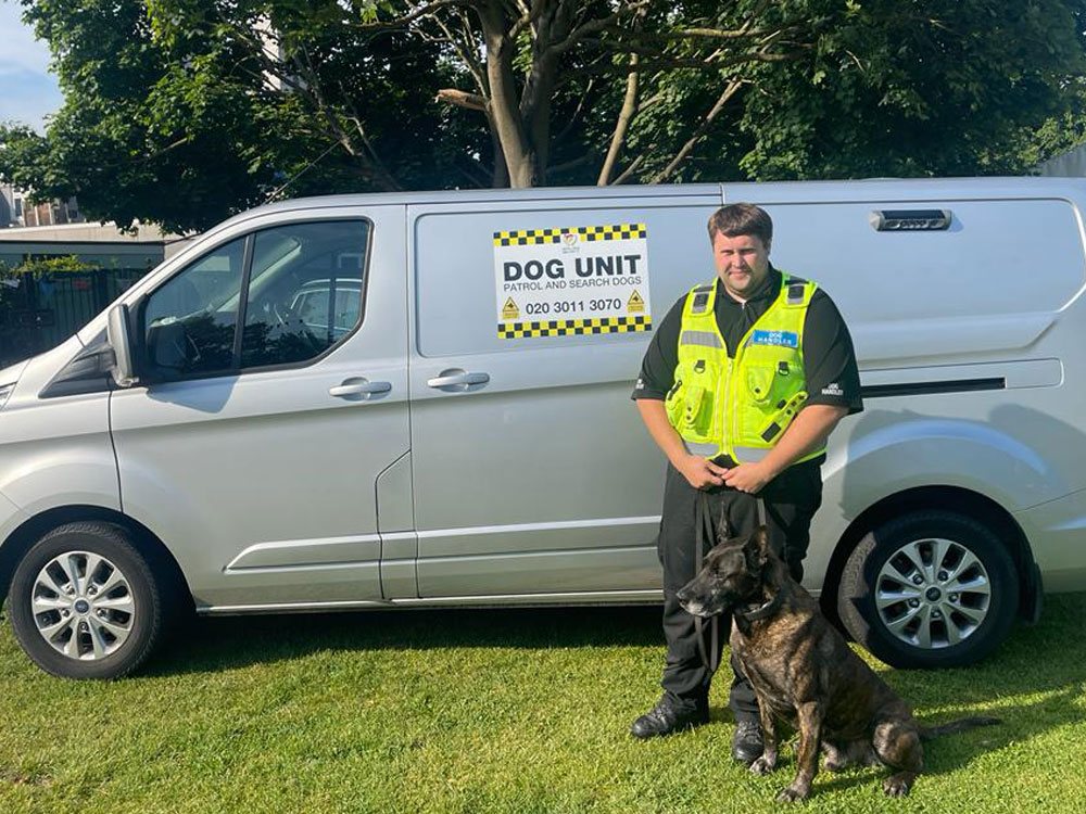 Services Archive | Achilleus Security